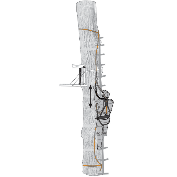 THE SAFE-LINE | Muddy Outdoors