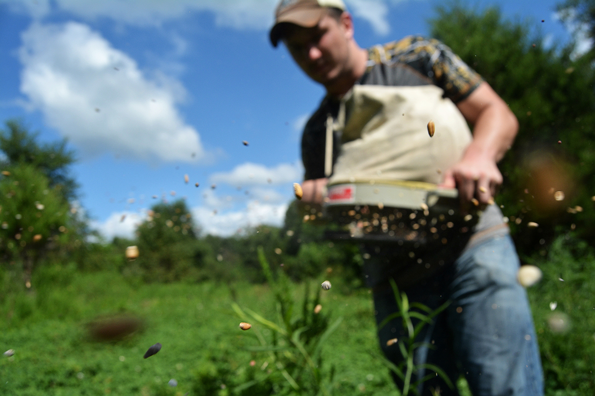 How to Plant a Hunting Plot for Bow Hunting Deer | Muddy Outdoors