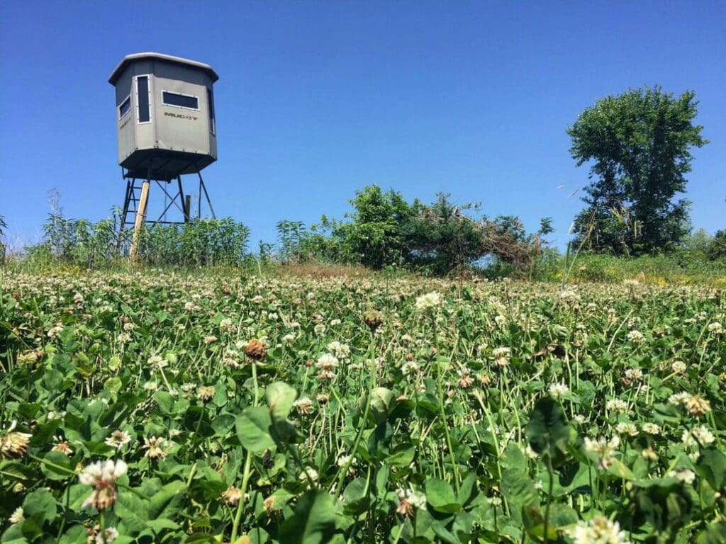 Post Season Considerations | Box Blind Placement and Strategies | Muddy ...