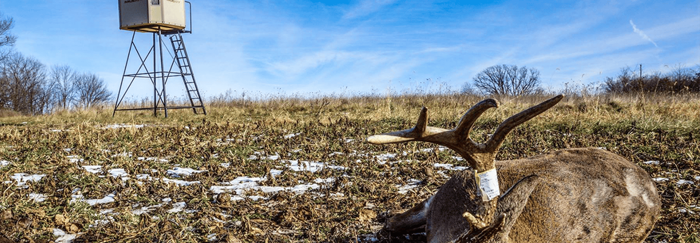 Post Season Considerations | Box Blind Placement and Strategies | Muddy ...