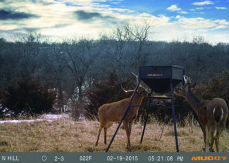 Increase Your Shed Hunting Success with Supplemental Feeders – Muddy ...