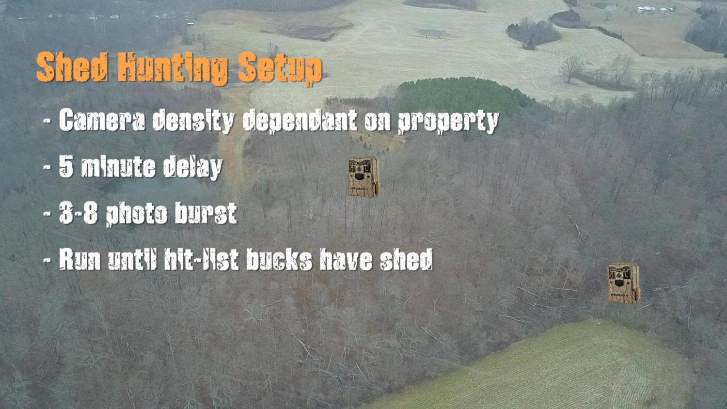 Using Trail Cameras to Figure Out When to Start Shed Hunting | Muddy ...