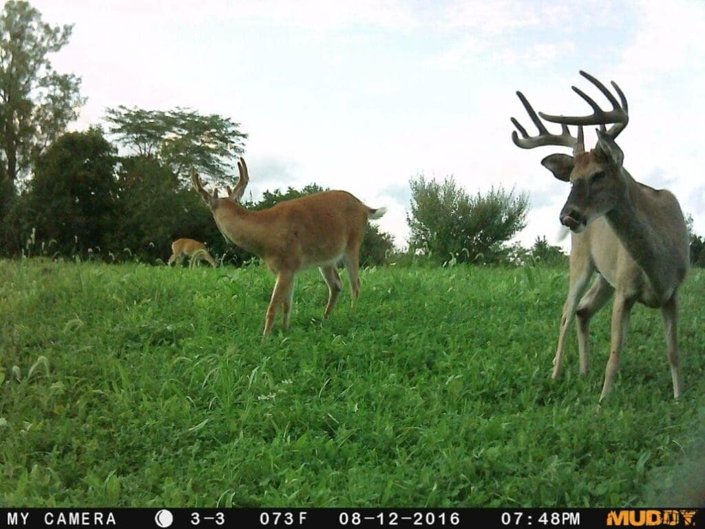 What Style of Hunter are You? | Muddy Outdoors