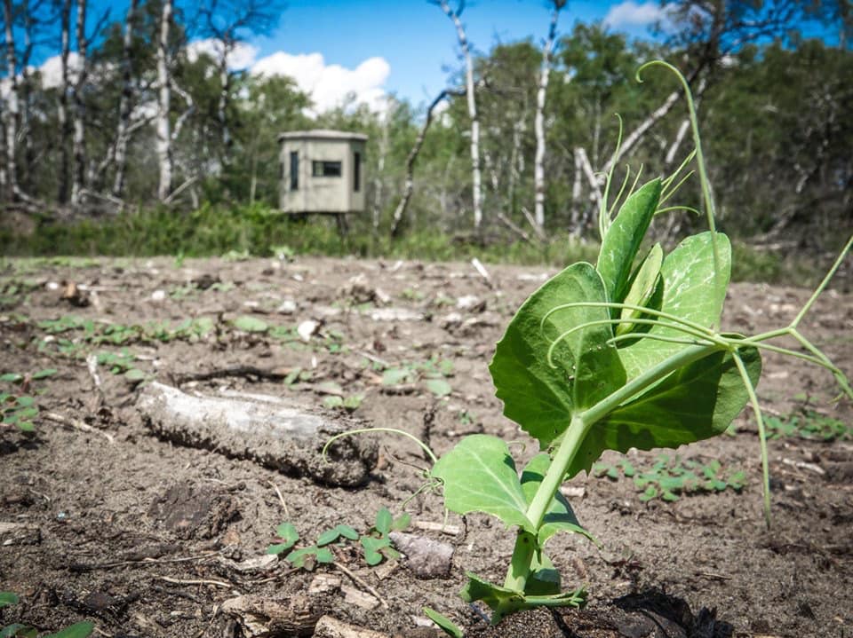Summertime To-Do List For Hunting Season | Muddy Outdoors