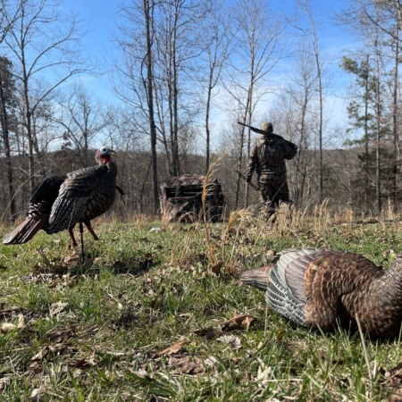 Late Season Turkey Hunting | Tips for Stubborn Toms – Muddy Outdoors