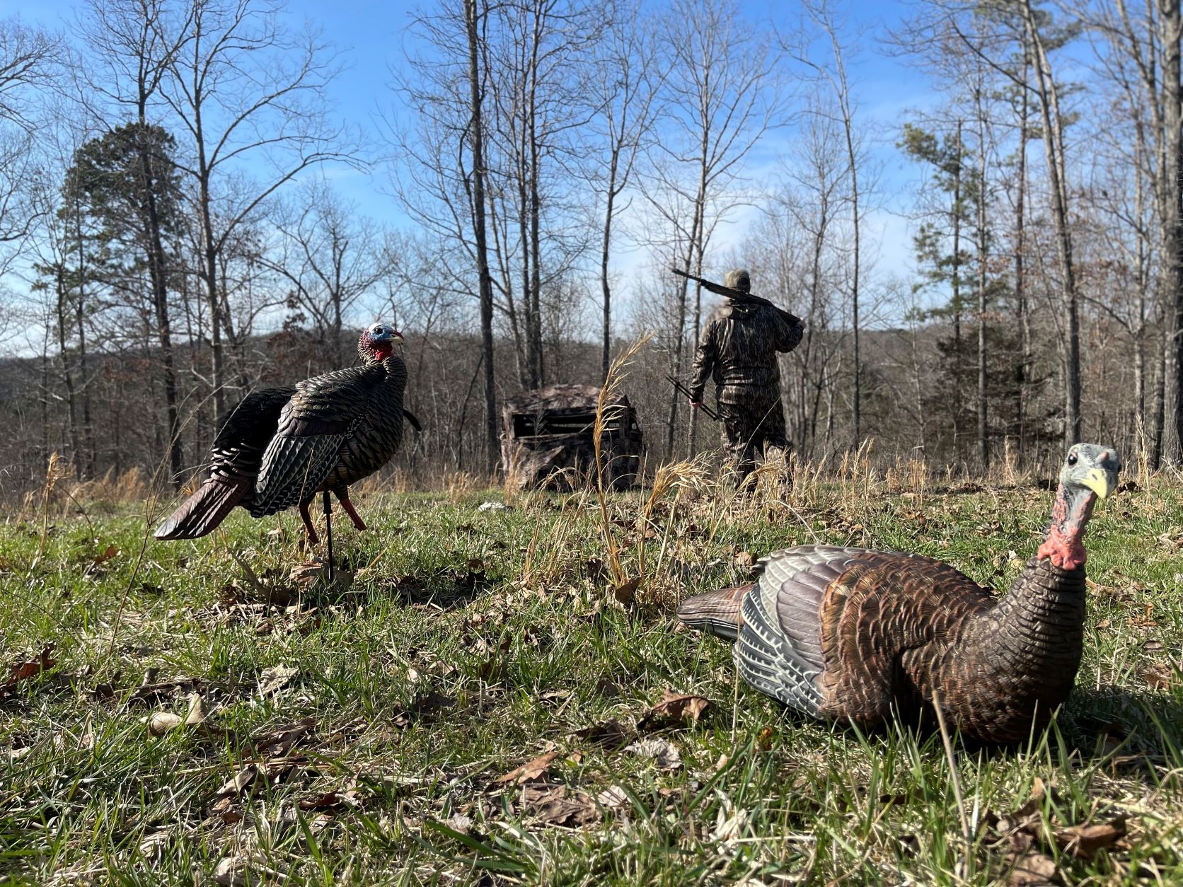 Spring Turkey Hunting With A Bow