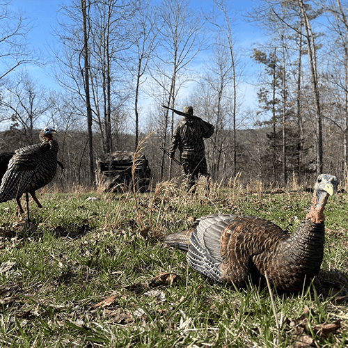 3 Tips For Early Season Turkey Hunting Success | Muddy Outdoors