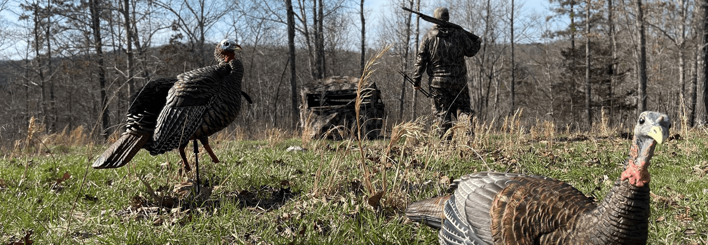 Spring Turkey Hunting