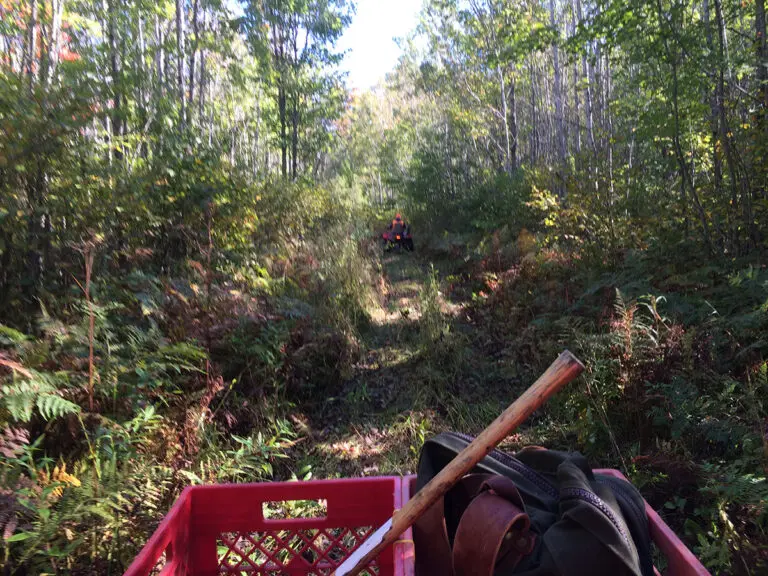 Hunting Big Woods Bucks in Wilderness Settings | Muddy Outdoors