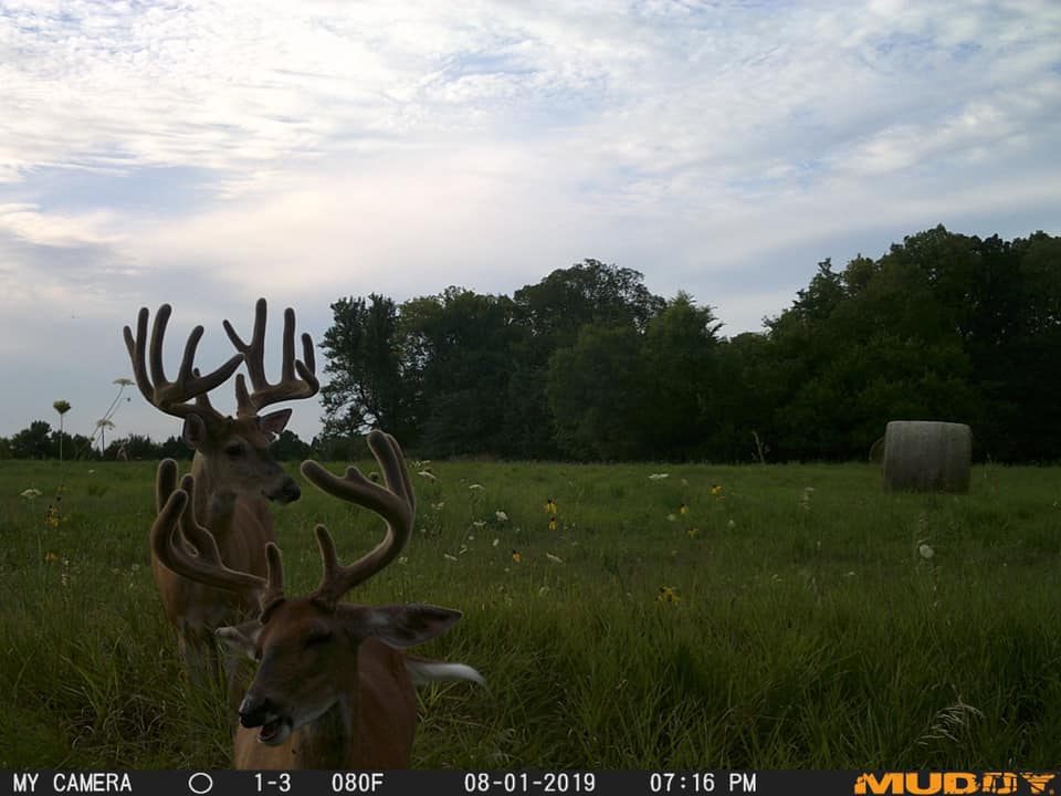 Summertime To-Do List For Hunting Season | Muddy Outdoors