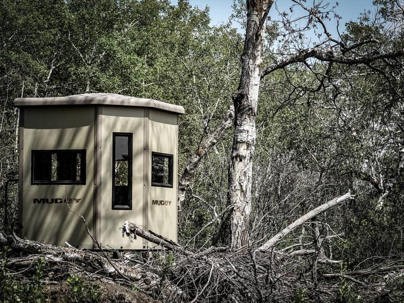 Bowhunting Post-Rut Bucks: Strategies for Success | Muddy Outdoors