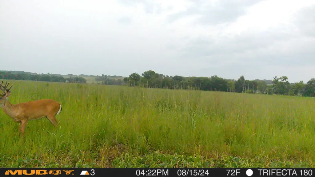 New For 2025 | Muddy Outdoors