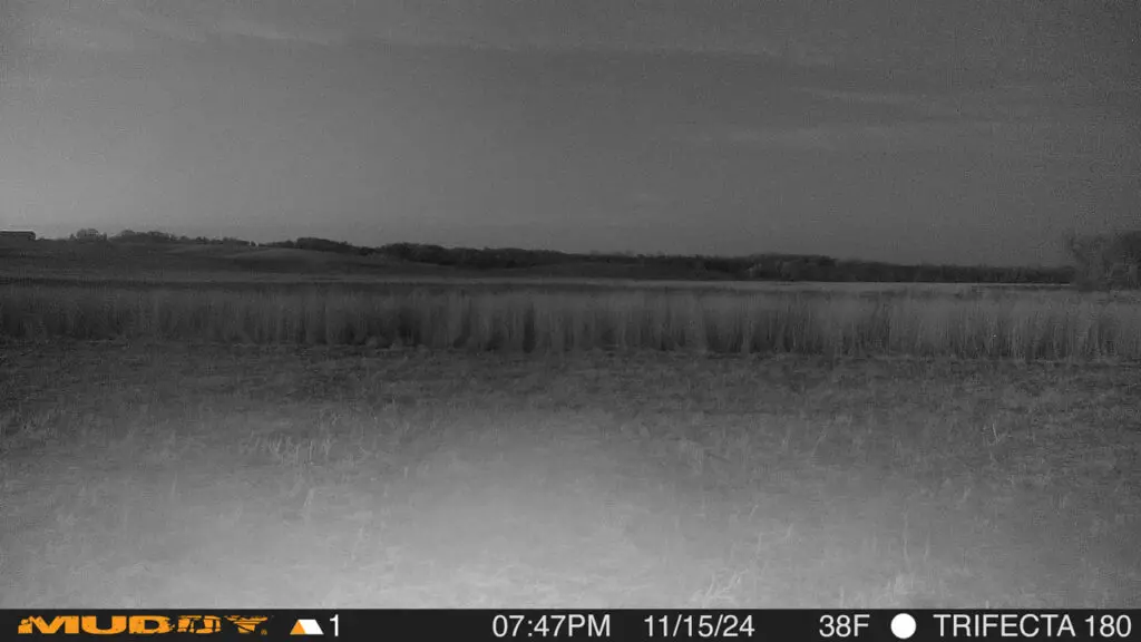 New For 2025 | Muddy Outdoors