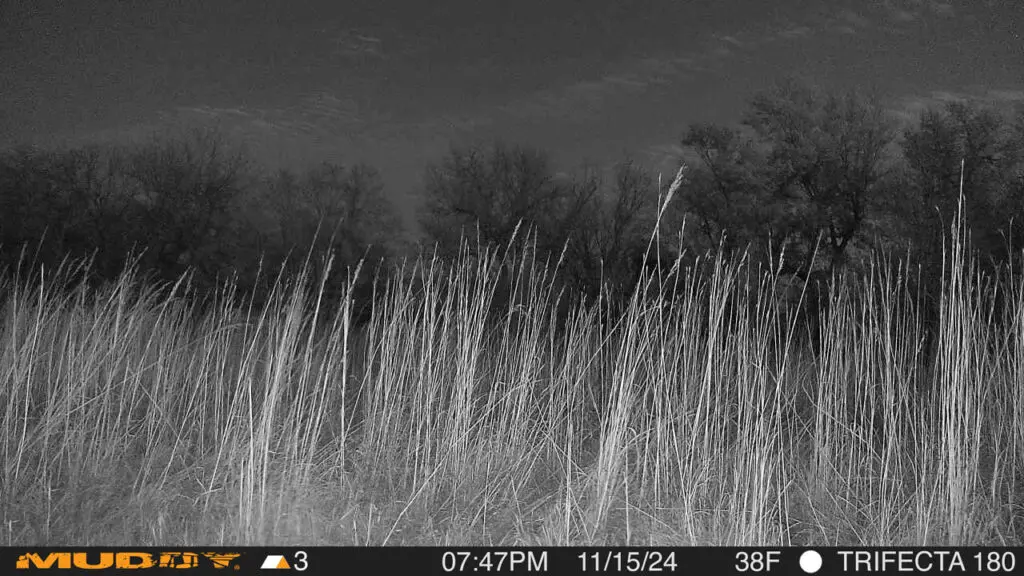 New For 2025 | Muddy Outdoors