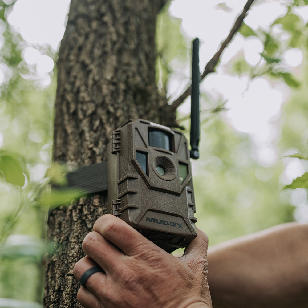 Manifest 3.0 Cellular Trail Camera | Muddy Outdoors